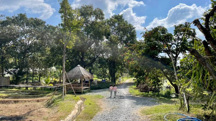 ️ Pan’s Farm แบ่งปันฟาร์ม – ChiangmaiMommy
