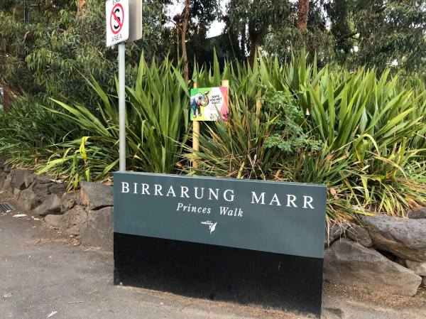 ️ Birrarung Marr Playground – ChiangmaiMommy